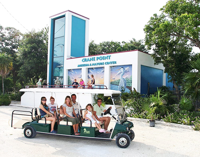 All aboard the eco-express! The preserve's tram service makes nature accessible to visitors of all mobility levels, ensuring no one misses the hammock's hidden treasures.