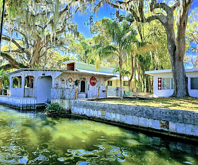 Waterfront living at its most charming, where residents enjoy front-row seats to nature's daily show from their cypress-shaded docks.