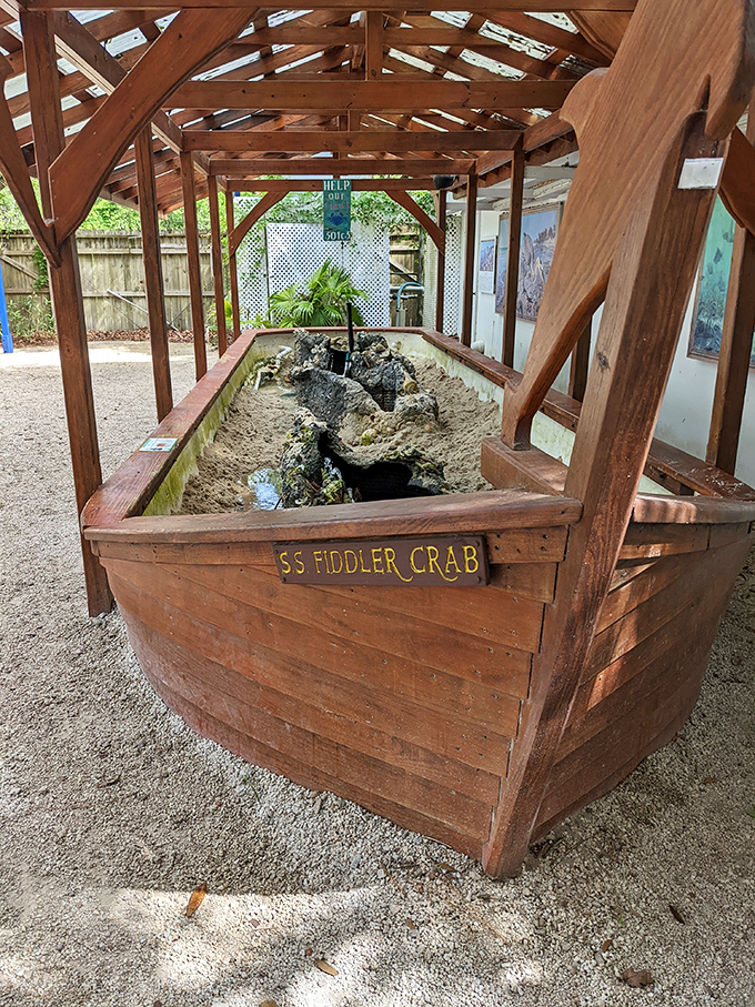 The S.S. Fiddler Crab exhibit proves that marine education can have a sense of humor while still teaching important lessons.
