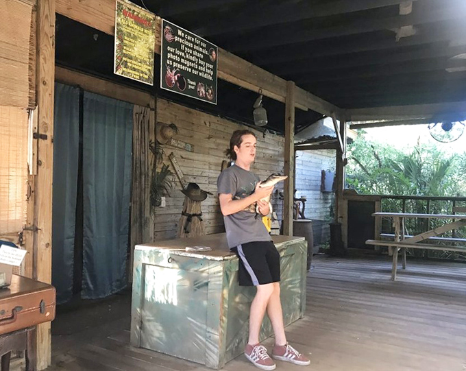 Live animal presentations bring visitors face-to-face with some of Florida's most fascinating creatures in a safe, educational setting.