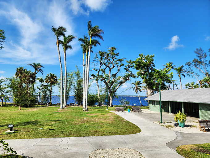 Towering palms frame the waterfront where Edison and Ford would watch the sunset after days spent inventing the modern world.