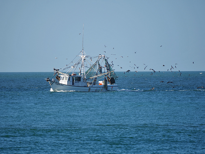 Charter boats promise adventures beyond the shoreline, where deeper waters hold bigger fish and stories you'll embellish for years to come.