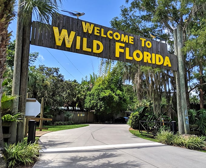 The entrance to Wild Florida promises adventure, but the Spanish moss whispers, "You're in the real Florida now."
