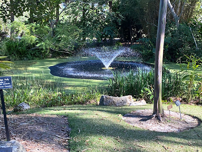 A perfect circle of dancing water creates a hypnotic display, inviting visitors to pause and appreciate simple beauty.