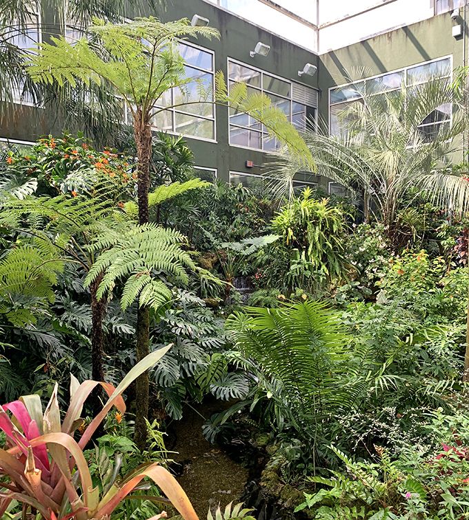 A lush tropical paradise where plants compete for sunlight in a carefully orchestrated jungle symphony that makes houseplant enthusiasts weep with envy.