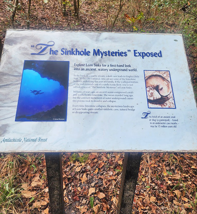 Educational signage reveals the "Sinkhole Mysteries" of this karst landscape, where underground worlds occasionally make themselves known.