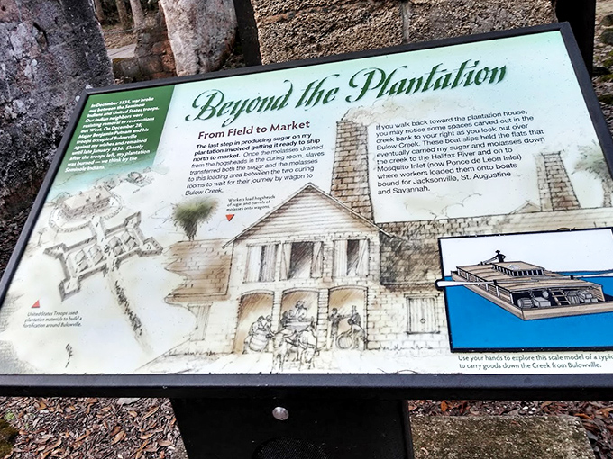 Interpretive signage brings the plantation's past to life, illustrating how goods moved from field to market centuries ago.