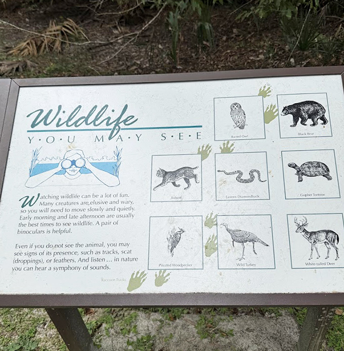 Wildlife information that reminds us we're visitors in their home &ndash; a field guide to neighbors you might meet.