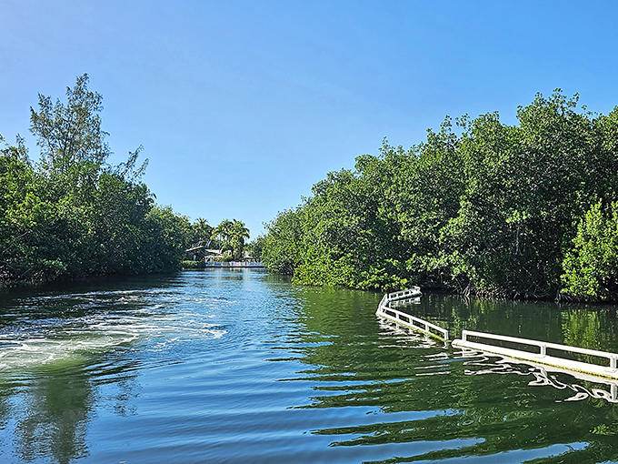 Mangrove-lined waterways create natural habitats within the park, showcasing Florida's unique ecosystem while providing shade from the tropical sun.
