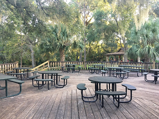 Plenty of room for the whole family! This wooden deck, surrounded by palms, is the perfect, shady spot for a post-swim picnic.