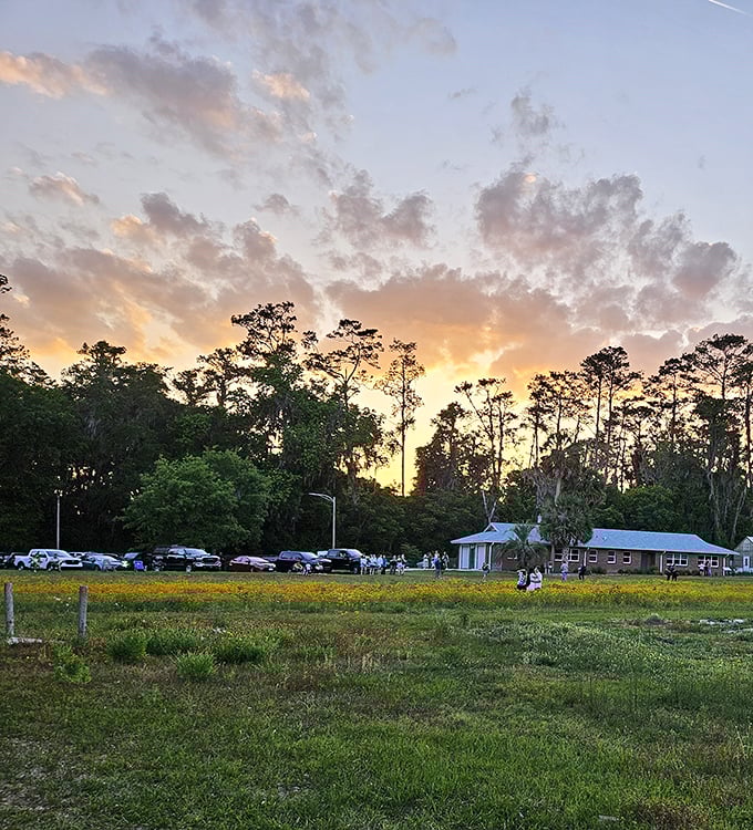 As the sun sets over the parking area, visitors gather with cameras ready, awaiting the moment when hundreds of thousands of wings take flight.