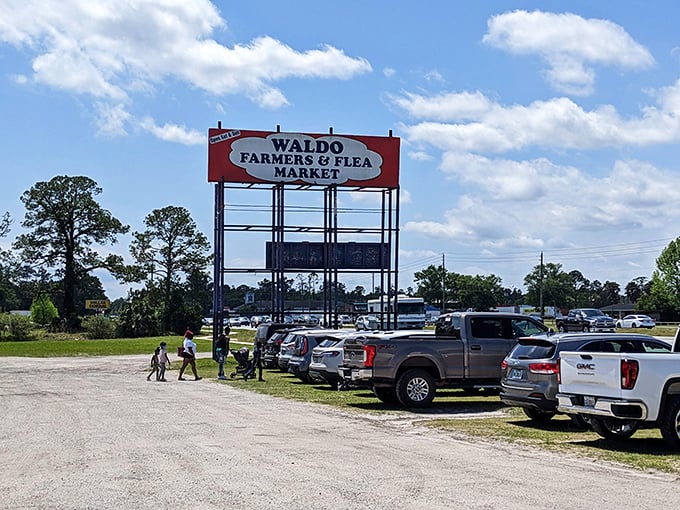 The bustling parking lot tells the story of Waldo's popularity, where license plates from across the Southeast reveal just how far people will travel for authentic treasure hunting.