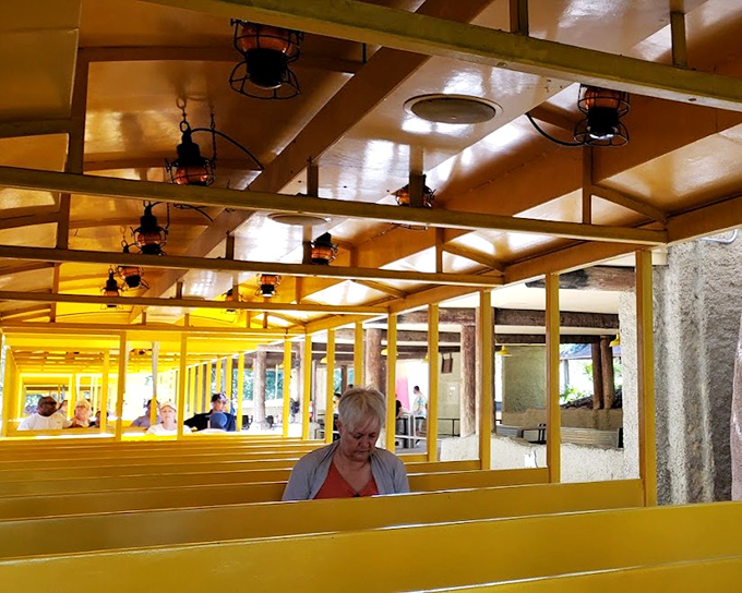 The yellow passenger cars offer a sunny contrast to Florida's occasionally dramatic skies, rain or shine the adventure continues.