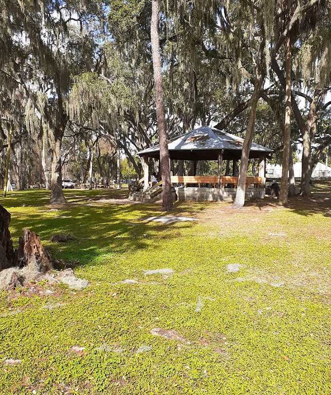 This rustic pavilion has hosted countless family gatherings, its simple structure providing shelter while keeping the focus on the natural surroundings.