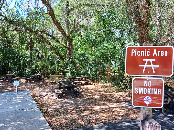 Picnic tables nestled under natural shade &ndash; where lunch comes with a side of birdsong and occasional acorn bombardments.