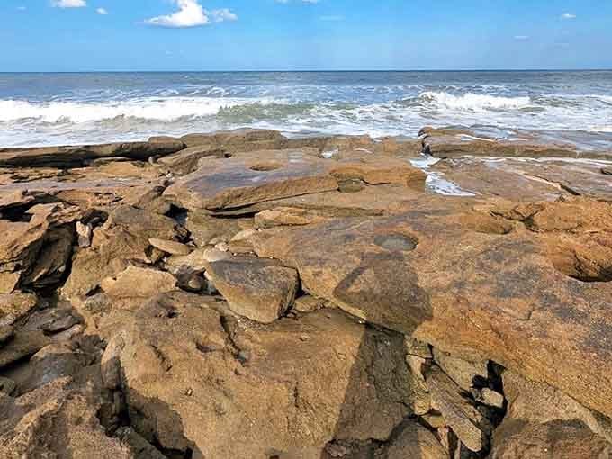 The Atlantic's persistent waves have sculpted these coquina formations into a natural playground that changes with each passing tide.