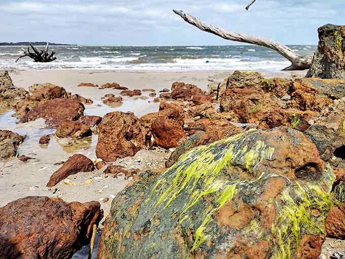 Vibrant algae adds unexpected splashes of color to the rocky shoreline, nature's graffiti on ancient coastal formations.