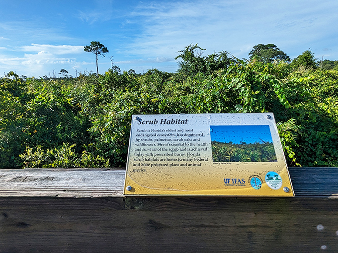 Educational signage explains the critical importance of Florida's scrub habitat, which requires periodic fires to maintain its unique character.