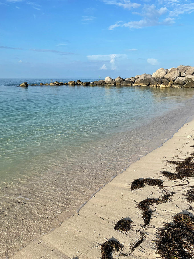 The gentle meeting of sand and sea creates a constantly changing shoreline gallery, where each wave is both artist and art.