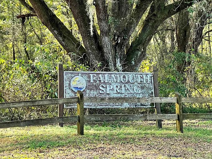 The Falmouth Spring sign welcomes curious travelers to what might be the world's most efficient river &ndash; no time wasted here!