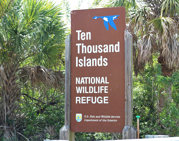 The entrance to Florida's best-kept secret – where wilderness still reigns and the only crowds are flocks of birds heading home at sunset.