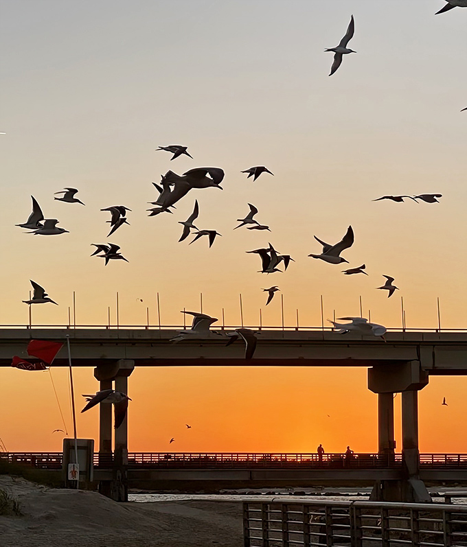 Sunset transforms the inlet into a golden gateway, silhouetting birds against a sky painted in impossible colors.