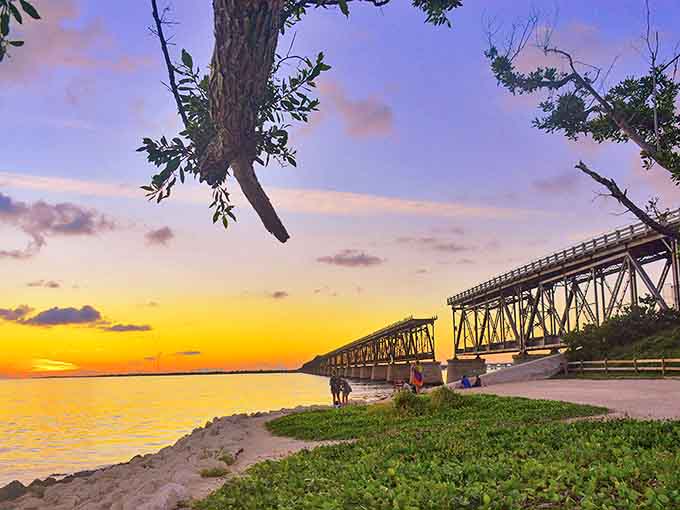 Florida sunsets transform the deck into nature's theater, painting the marina with golden light as boats gently rock in approval.