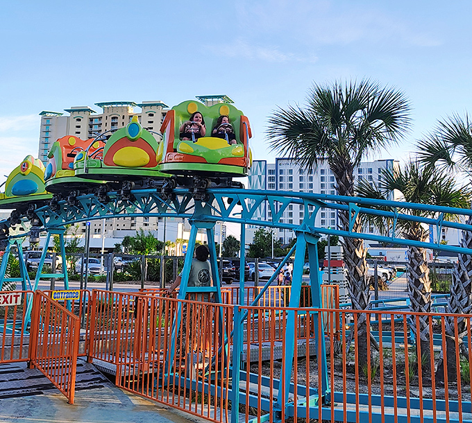 The colorful roller coaster cars zip along their track, carrying riders whose expressions toggle rapidly between terror and delight with each twist and turn.