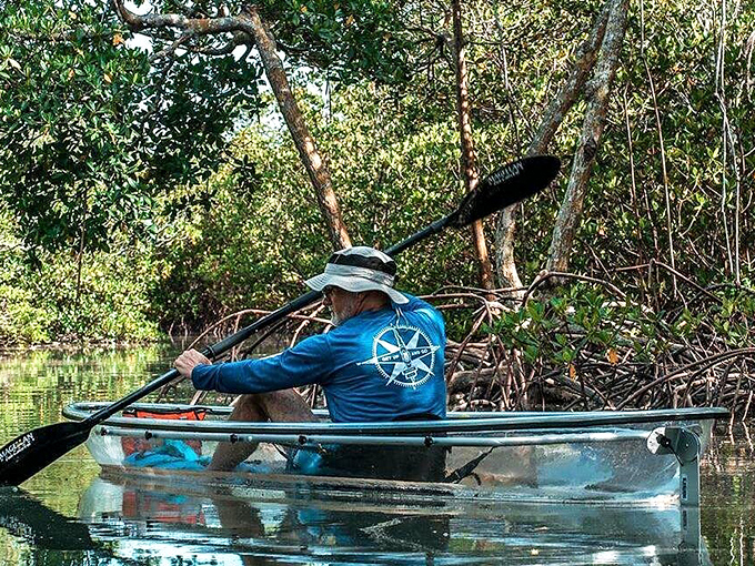 A guide navigates the mangrove maze with practiced ease, sharing local knowledge that transforms tourists into temporary locals.