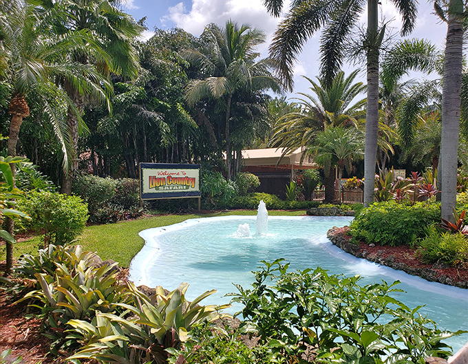 The park's entrance fountain and tropical landscaping set the stage for an immersive safari adventure in the heart of Florida.