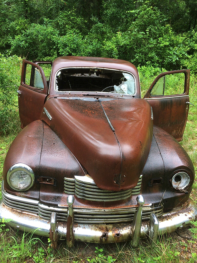 This Nash Ambassador still shows hints of its former elegance, though nature has definitely redecorated the interior with her own unique style choices.