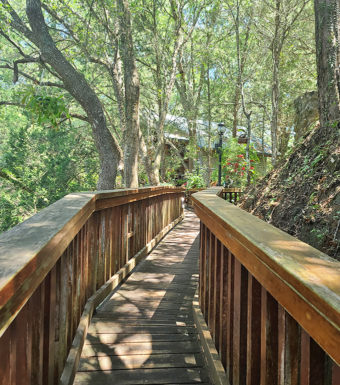 Wooden boardwalks float visitors above the landscape, offering perspectives that feel like hovering just above a living painting.