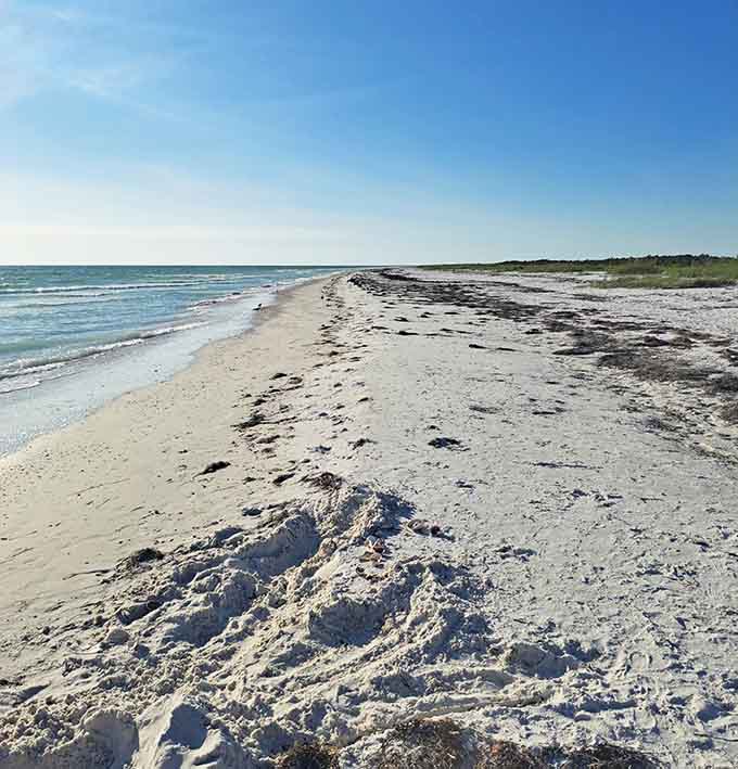 Miles of untouched beach stretch into the distance, looking exactly like what you pictured when someone said "hidden Florida gem."