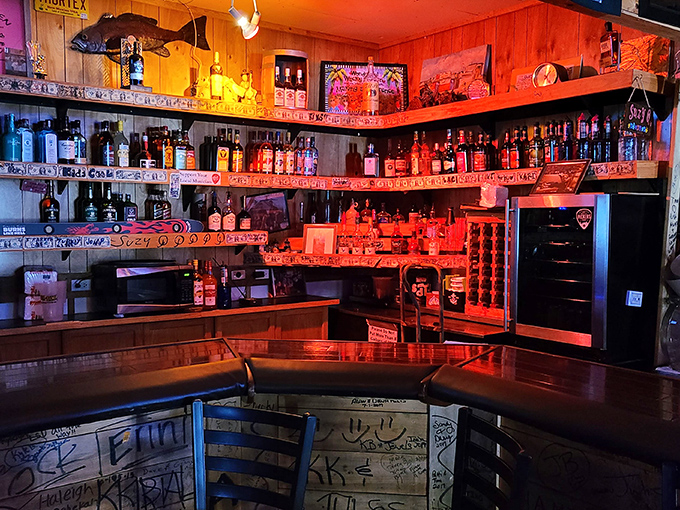 Behind the bar, bottles gleam in the warm light, ready to become part of the legendary drinks that have made Flora-Bama famous.