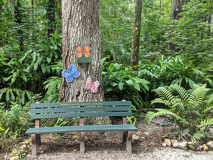 A peaceful bench positioned perfectly for contemplating the gardens, the gnomes, and the life choices that led you to spend an afternoon photographing miniature houses, which are clearly excellent choices.