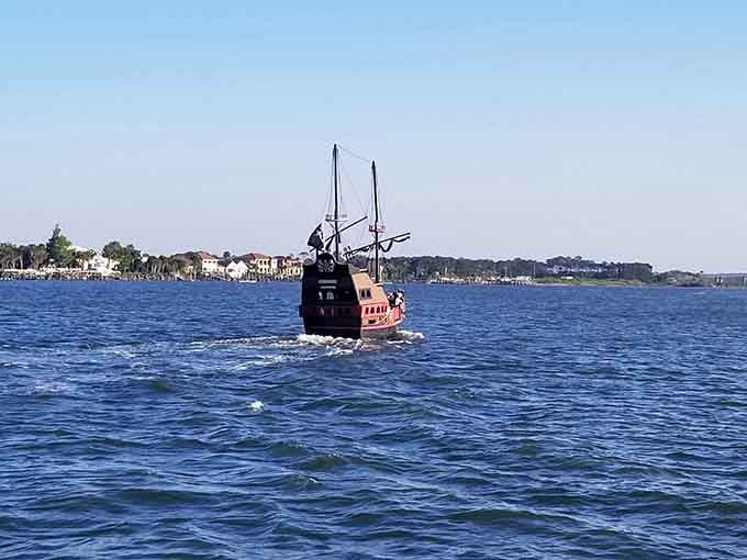From a distance, the Black Raven looks like it sailed straight out of a storybook and into Florida's beautiful waterways.