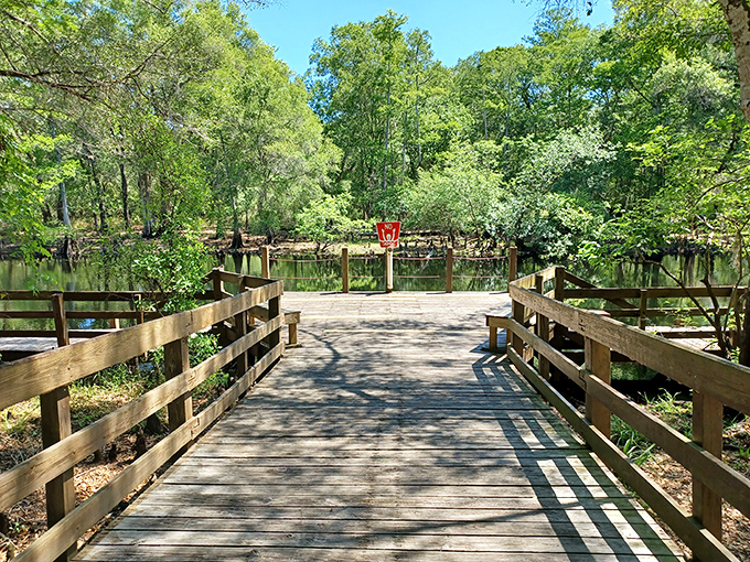 This wooden boardwalk invites visitors to venture over reflective waters, offering intimate glimpses of river life from a perfectly balanced perspective.