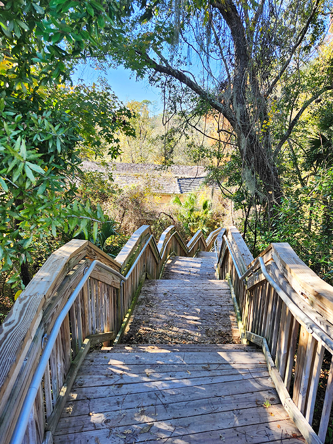 Wooden steps descend through lush vegetation, each weathered plank a step back into Old Florida's forgotten charms.