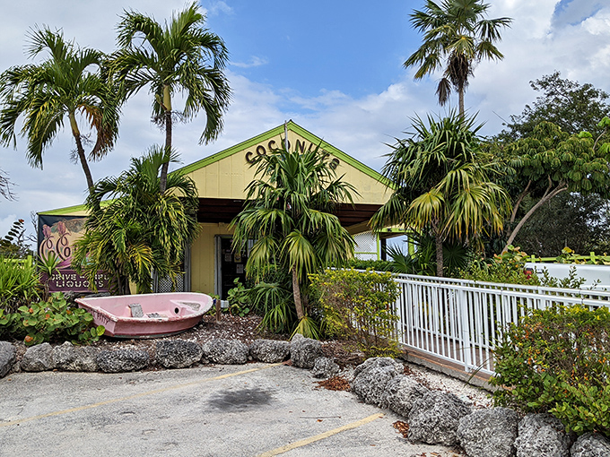 Coconuts Bar serves island vibes with every drink, proving that the best Florida attractions don't need fancy marketing campaigns.