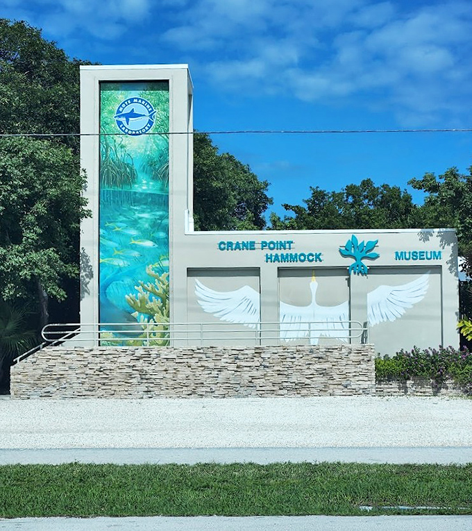 Crane Point Hammock Museum's striking modern architecture serves as gateway to Marathon's natural and cultural history, blending art with education.