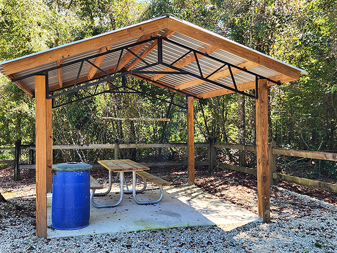 This simple picnic shelter provides welcome shade for trail-weary adventurers, a perfect spot to refuel before the journey home.