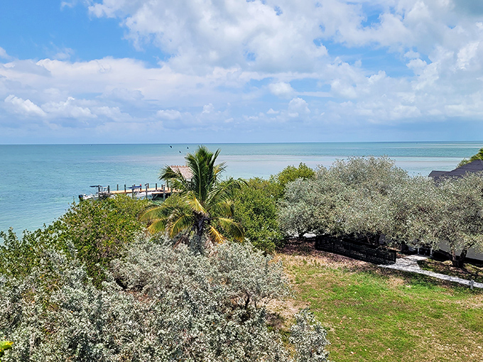 Paradise defined: swaying palms, historic cottages, and the kind of lawn that makes northern visitors weep with envy.