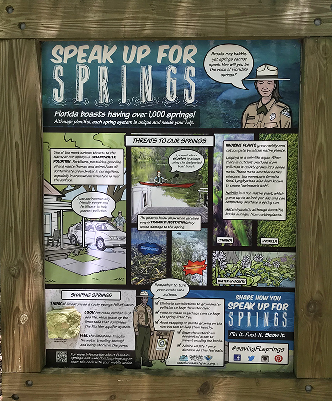 Florida's springs can't speak for themselves, but this colorful board makes a compelling case for why we should all become fluent in the language of conservation.