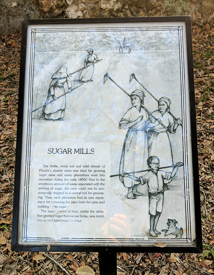 Poignant illustrations depict the human story behind the ruins &ndash; workers whose labor built Florida's early agricultural economy.