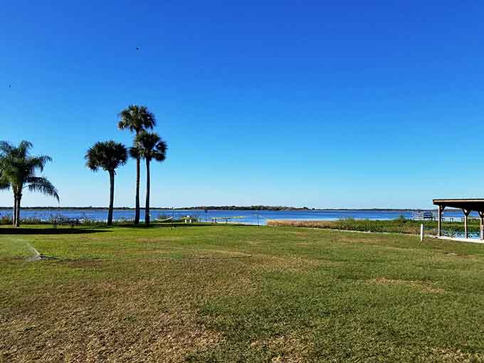 Sometimes paradise is just a matter of perspective, a wooden railing, and water that reflects the sky so perfectly you forget which way is up.