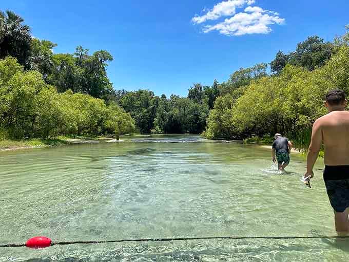 When the water's this clear and inviting, even people who claim they're "not really swimmers" suddenly discover hidden aquatic talents they never knew existed.