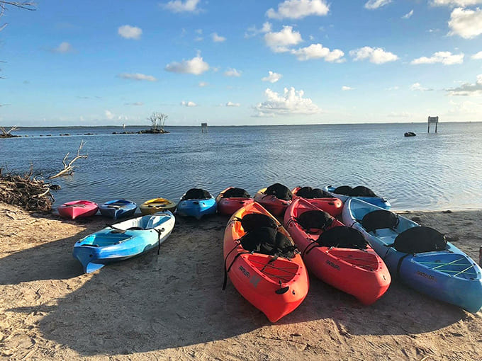 A rainbow of kayaks awaits their passengers, each one a ticket to an unforgettable evening adventure.