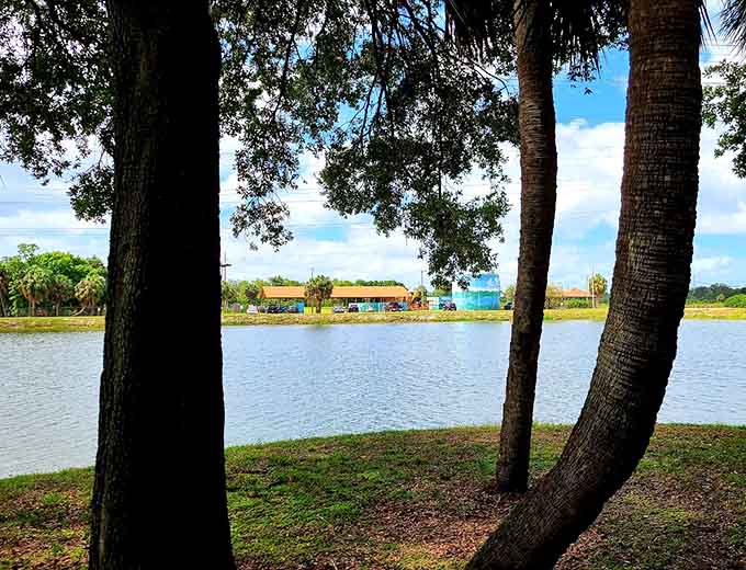 The waterfront view through the trees frames the bay perfectly, like nature installed its own picture window for your viewing pleasure.