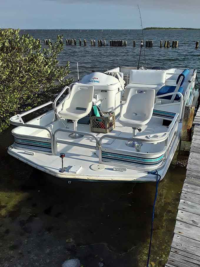 A pontoon boat provides the perfect platform for leisurely lagoon exploration, offering comfort while you search for manatees and dolphins.