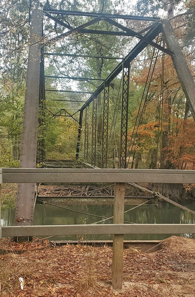 Standing as one of Florida's oldest steel bridges, this structure has witnessed generations of travelers crossing the Chipola.